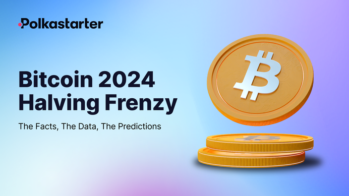 Bitcoin 2024 Halving Frenzy: The Facts, the Data, the Predictions